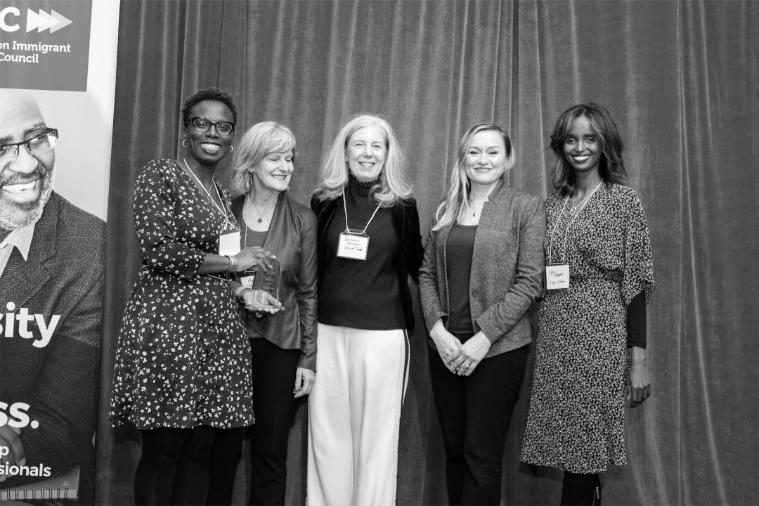 TRIEC Mentoring Partnership